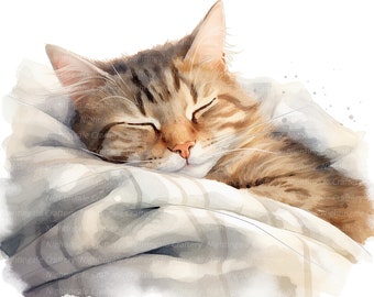 5 Cute Sleeping Cat Clipart, Cozy Cat Clipart, Printable Watercolor ...