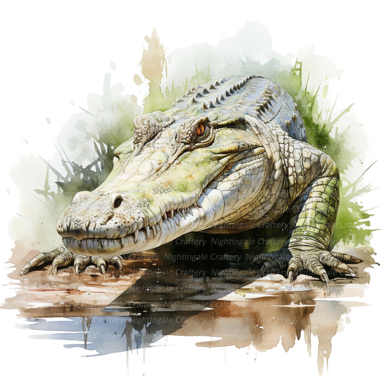 10 Crocodile Clipart, Crocodile in Swamp, Printable Watercolor Clipart ...