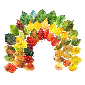 11 Autumn Leaves Clipart, Rainbow Clipart, Printable Watercolor Clipart ...