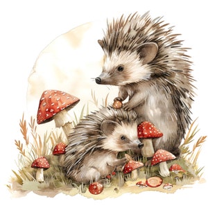 12 Hedgehog Family Clipart, Hedgehog Clipart, Printable Watercolor ...