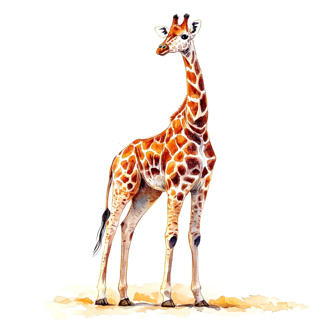 10 Giraffe Clipart, Watercolor Giraffe, Printable Watercolor Clipart ...