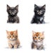 16 Wet Kitten Clipart, Wetted Kitten, Printable Watercolor Clipart ...