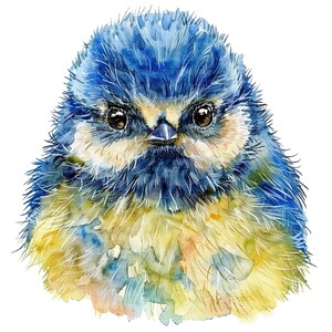 10 Blue Tit Bird Clipart Set 2, Eurasian Blue Tit, Printable Watercolor ...