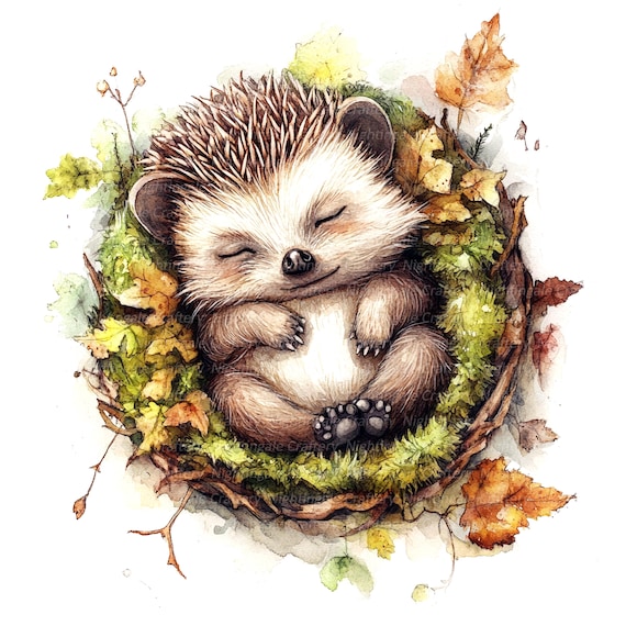 Clipart De Hérisson Mignon