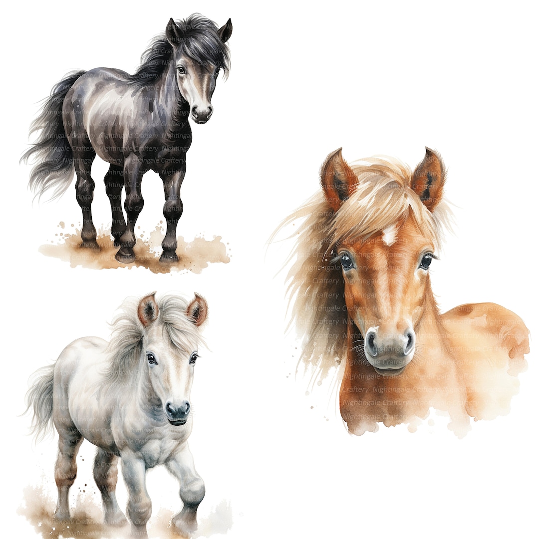 14 Pony Clipart Realistic Pony Images Printable Watercolor - Etsy