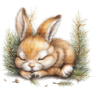 8 Sleeping Bunny Clipart, Cute Bunny Clipart, Printable Watercolor ...