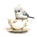 11 Bird and Tea Cup Clipart, Cute Bird Clipart, Printable Watercolor ...