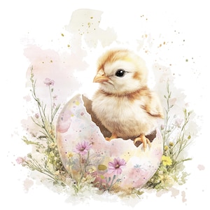12 Easter Chick Hatching Clipart, Chicken Egg, Printable Watercolor ...