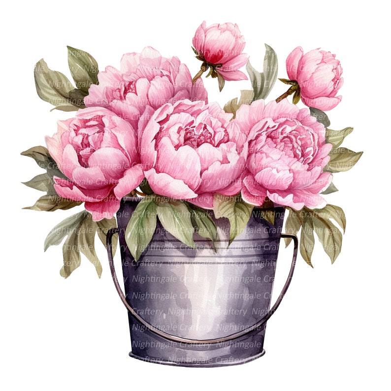 Peonies Clipart Peonies in Bucket Printable Watercolor - Etsy