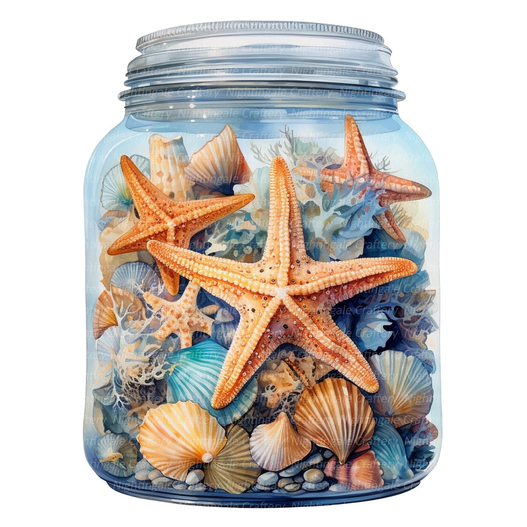 9 Seashells in Jar Clipart, Sea Shells Clipart, Printable Watercolor ...