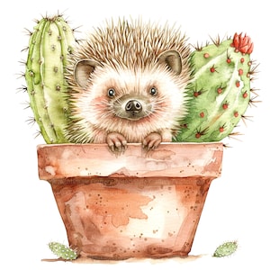 11 Hedgehog and Cactus Clipart, Cartoon Hedgehog, Printable Watercolor ...
