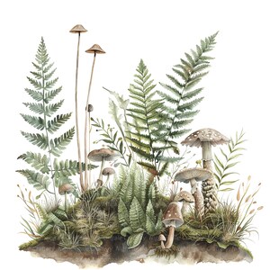 10 Botanical Ferns Clipart, Fern Moss Decor, Printable Watercolor ...