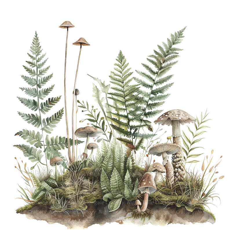 10 Botanical Ferns Clipart, Fern Moss Decor, Printable Watercolor ...