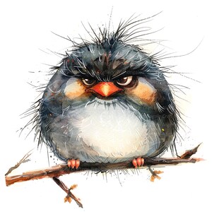 16 Grumpy Bird on Branch Clipart, Digital Clipart, Watercolor Clipart ...