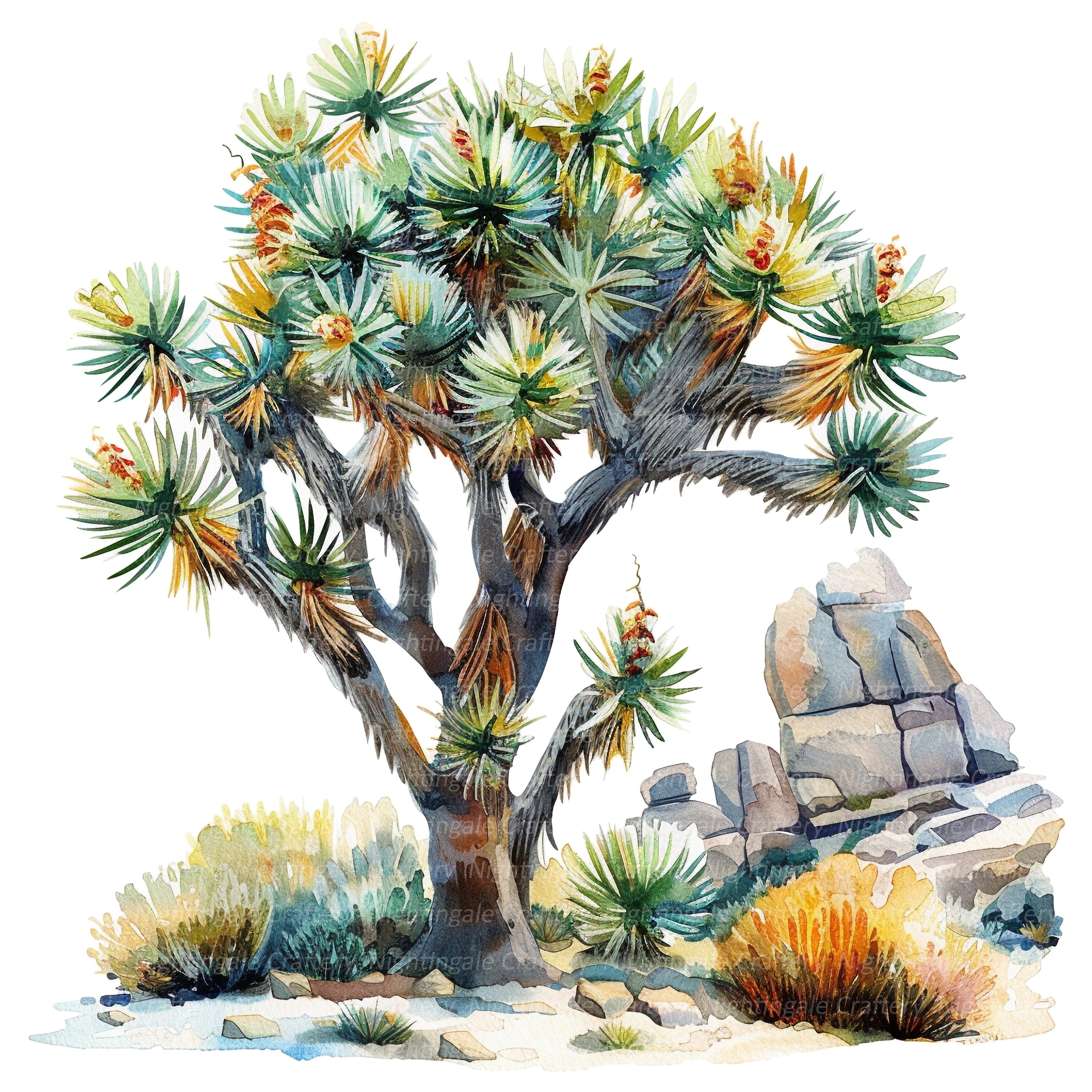 9 Joshua Tree Clipart, Joshua Tree Print, Printable Watercolor Clipart ...