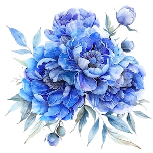 14 Blue Peonies Clipart, Blue Peonies Bouquet, Printable Watercolor ...