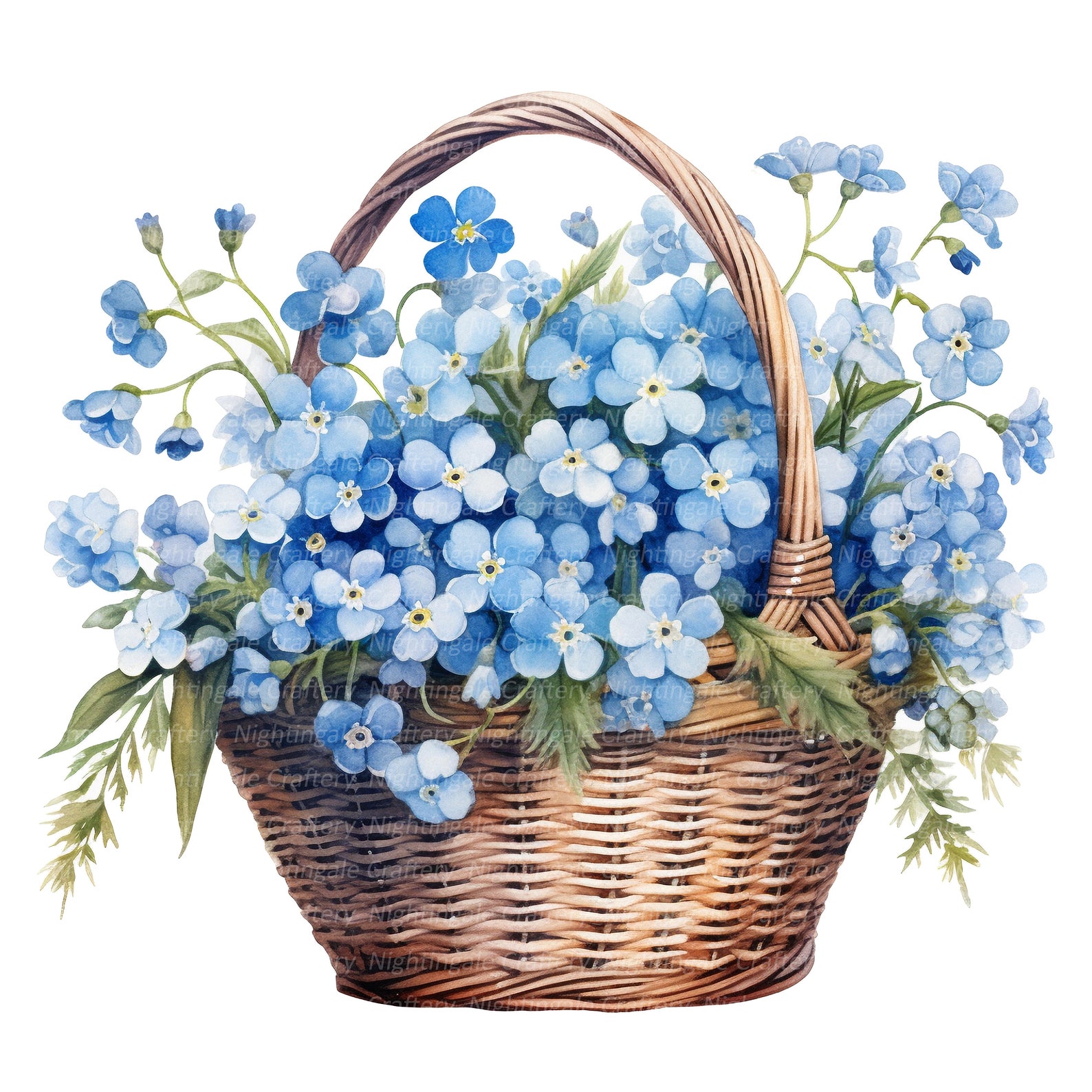 8 Forget Me Not Clipart Forget-me-not Basket Printable - Etsy