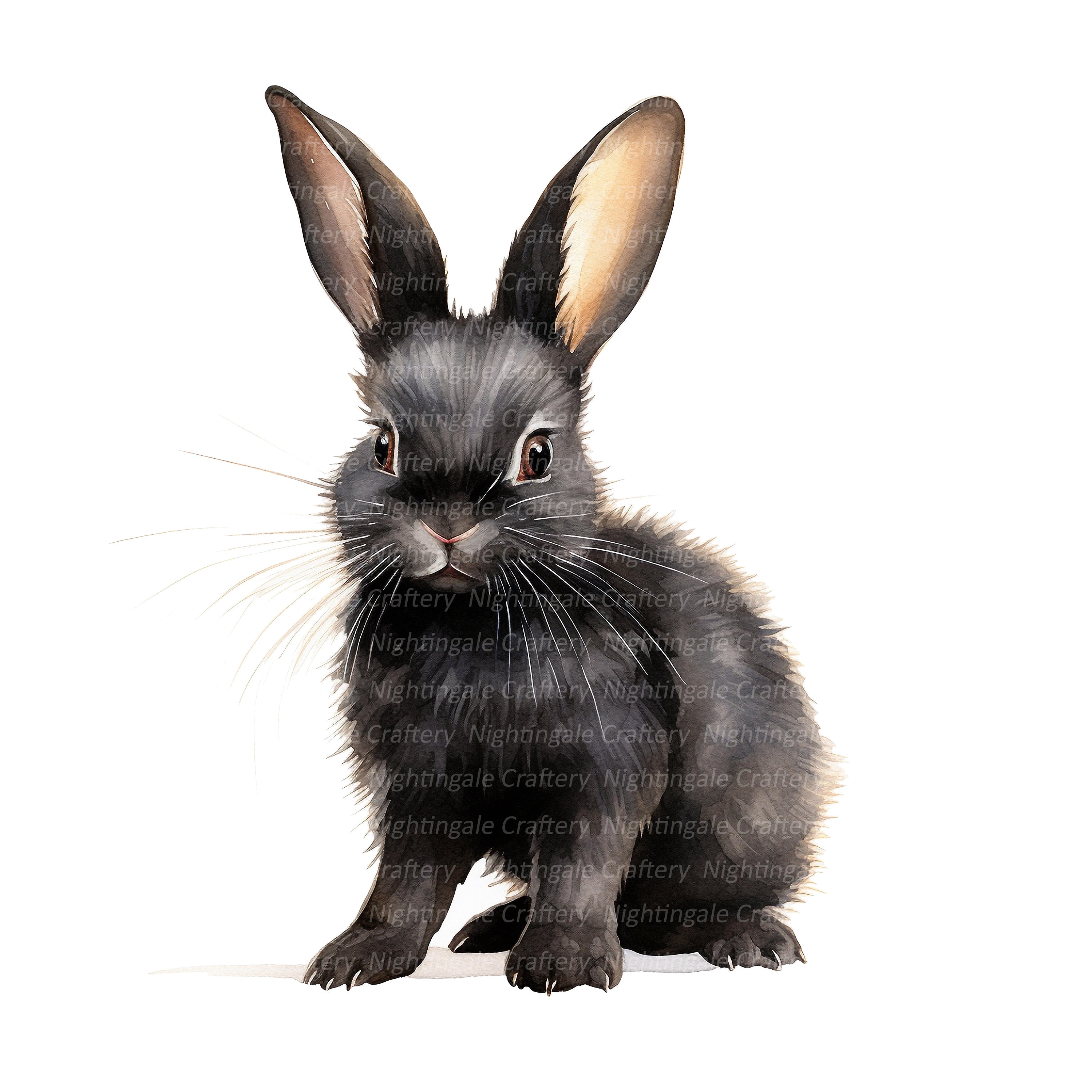 10 Black Bunny Clipart Black Rabbit Clipart Printable - Etsy Australia