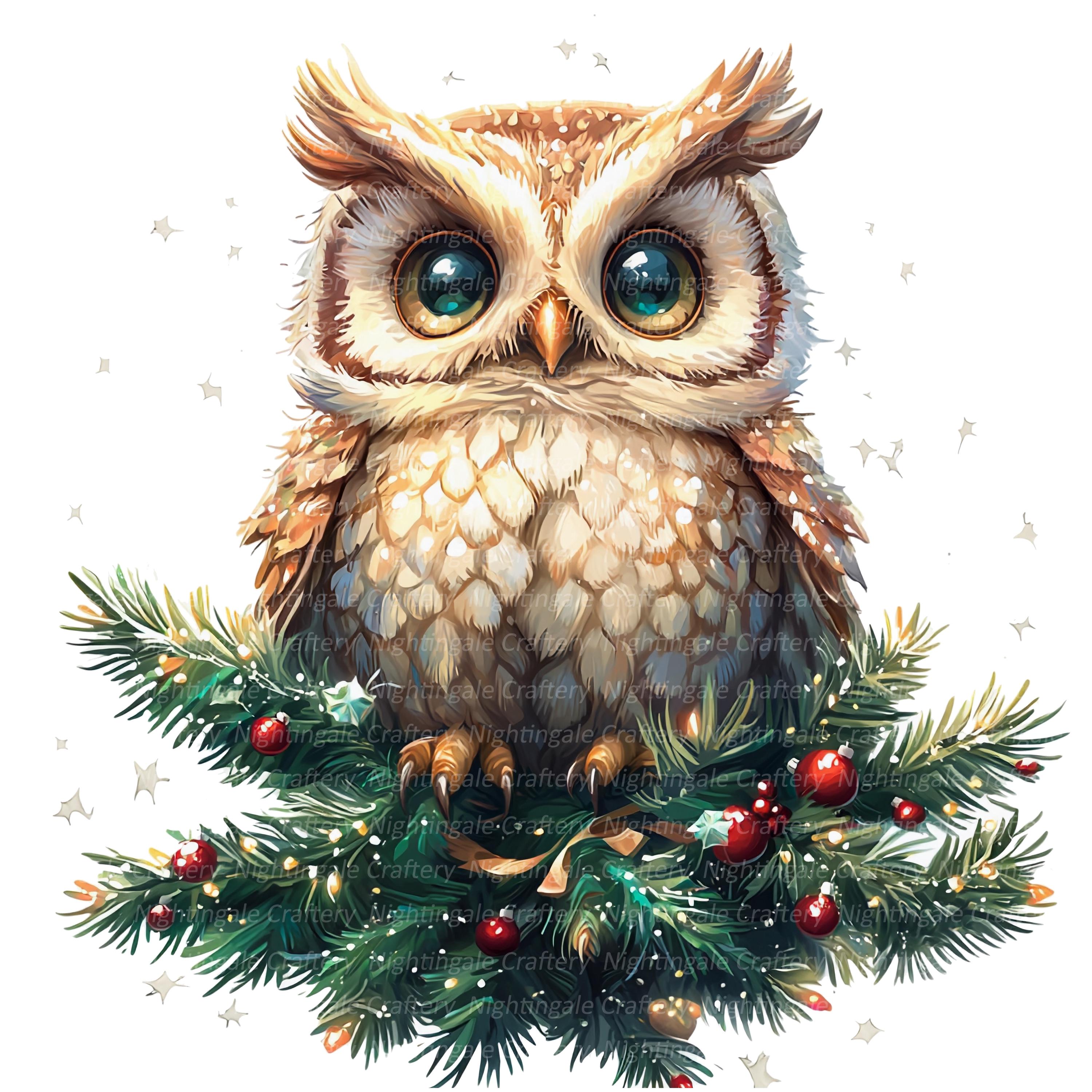 11 Christmas Owl Clipart, Christmas Card, Printable Watercolor Clipart ...