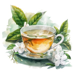 12 Jasmine Tea Clipart, Tea Cup Clipart, Printable Watercolor Clipart ...
