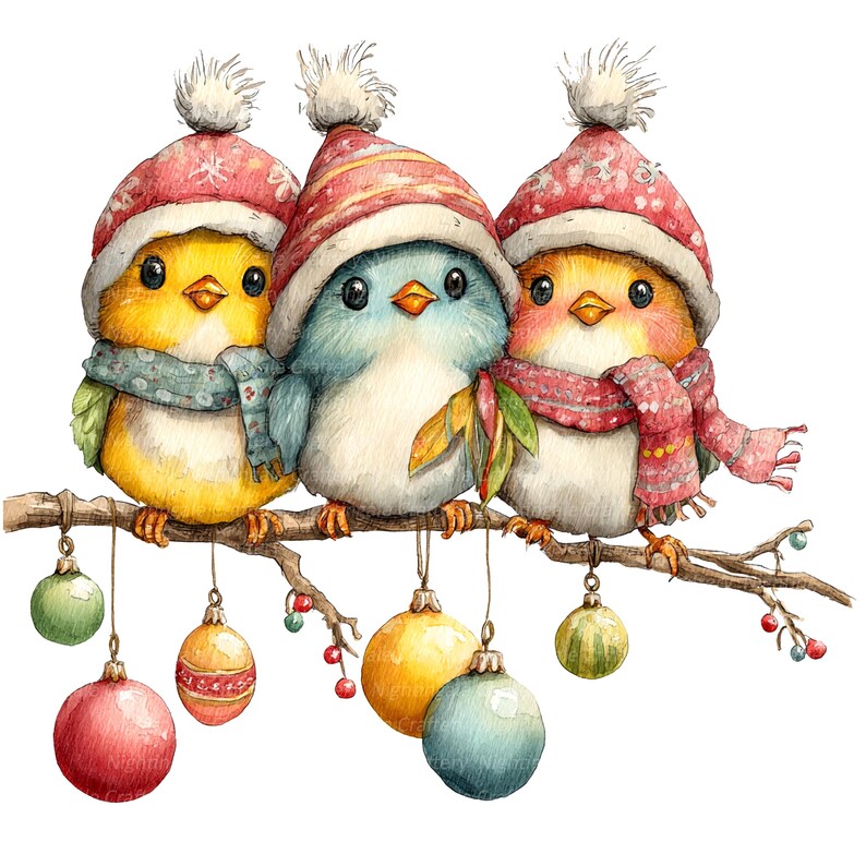 10 Funny Christmas Birds Clipart, Robin, Printable Watercolor Clipart ...