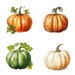 20 Pumpkin Clipart, Various Pumpkins, Printable Watercolor Clipart, 20 ...