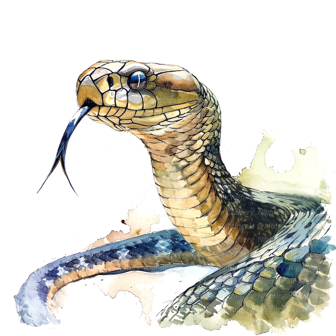 11 Watercolor Snake Clipart, Sublimation Snake, Printable Watercolor ...