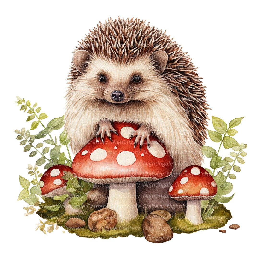 Cute Hedgehog Autumn Clipart, Printable Watercolor Clipart, 10 High ...