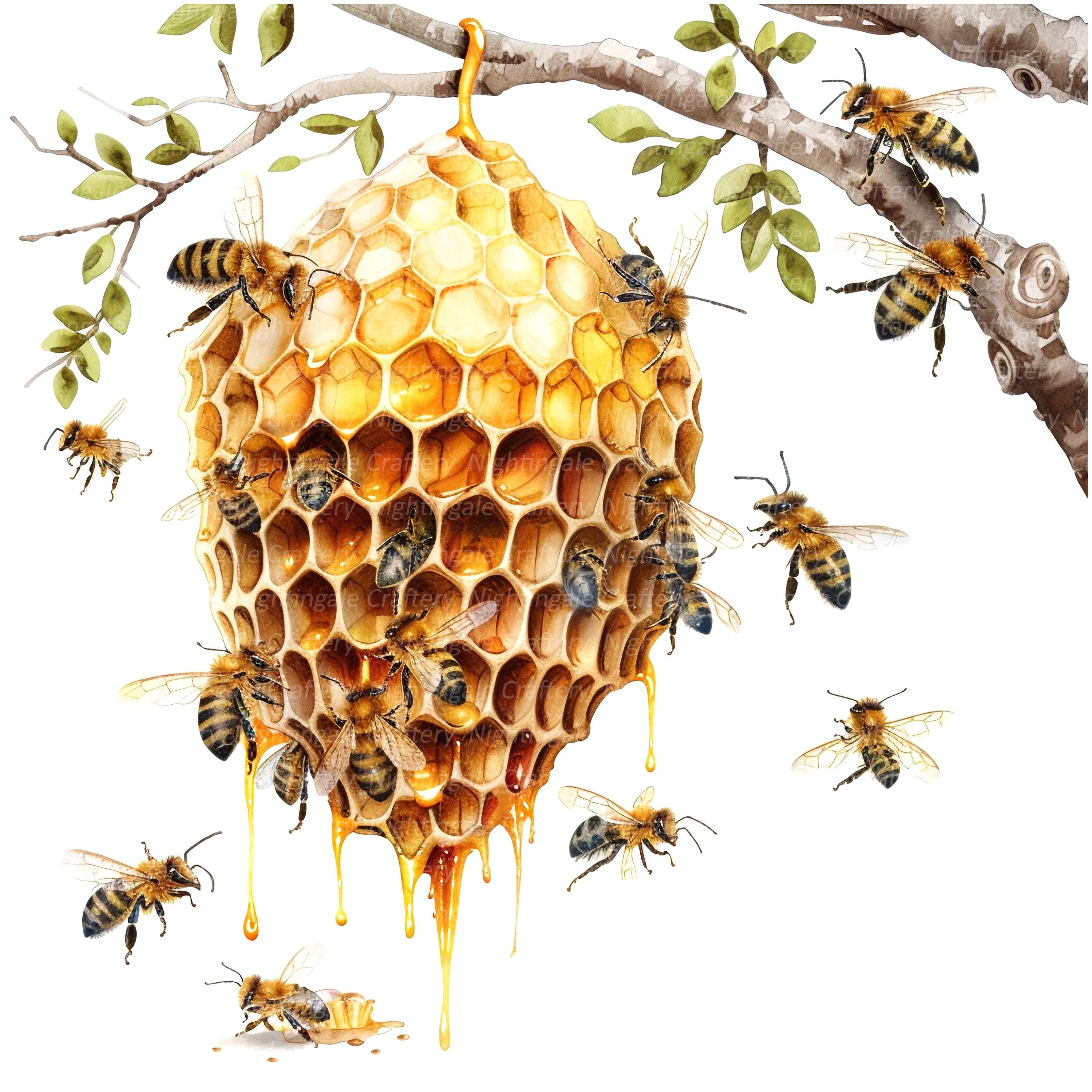 10 Bees Clipart, Honey Clipart, Beehive, Printable Watercolor Clipart ...