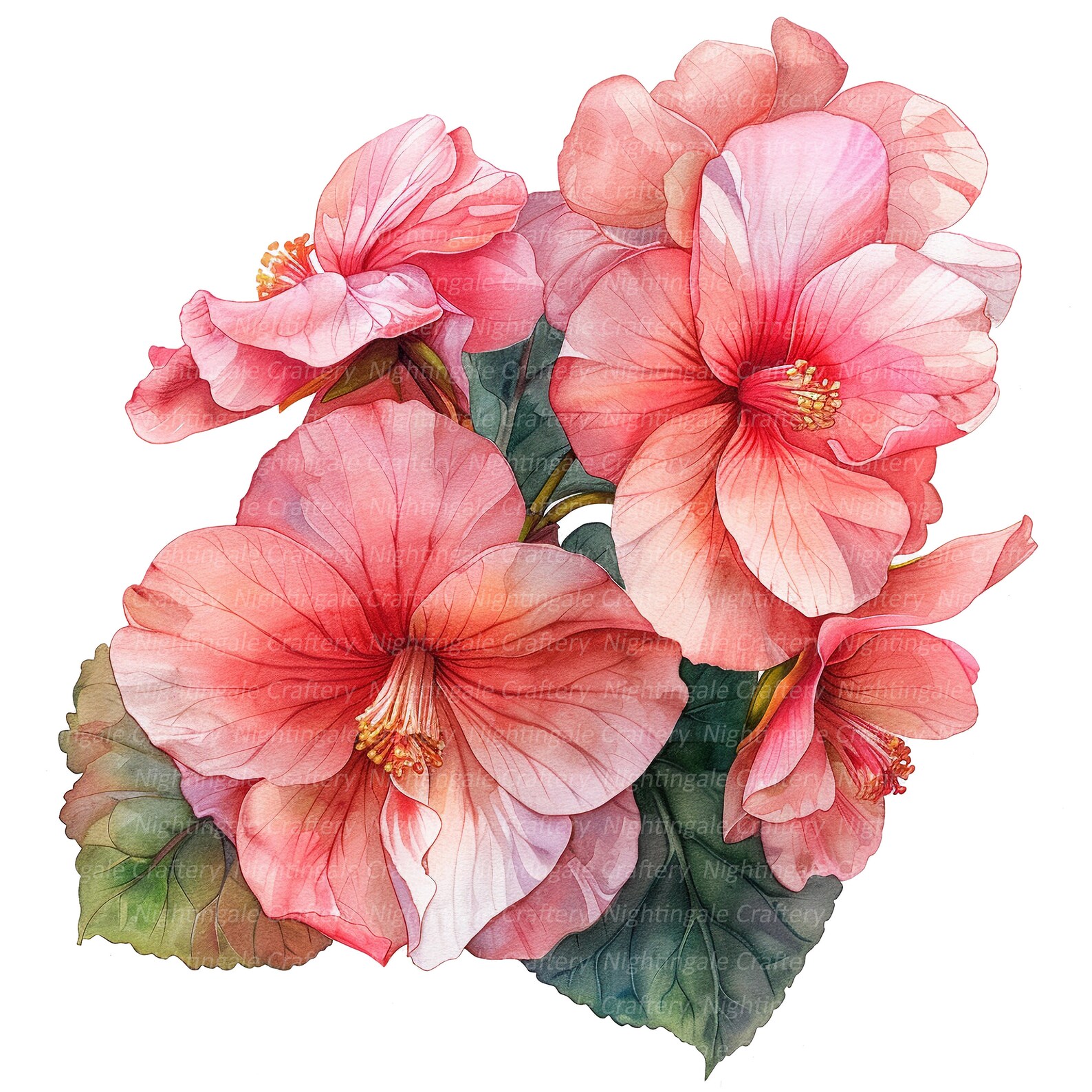 12 Begonia Flowers Clipart, Begonia Bouquet, Printable Watercolor ...