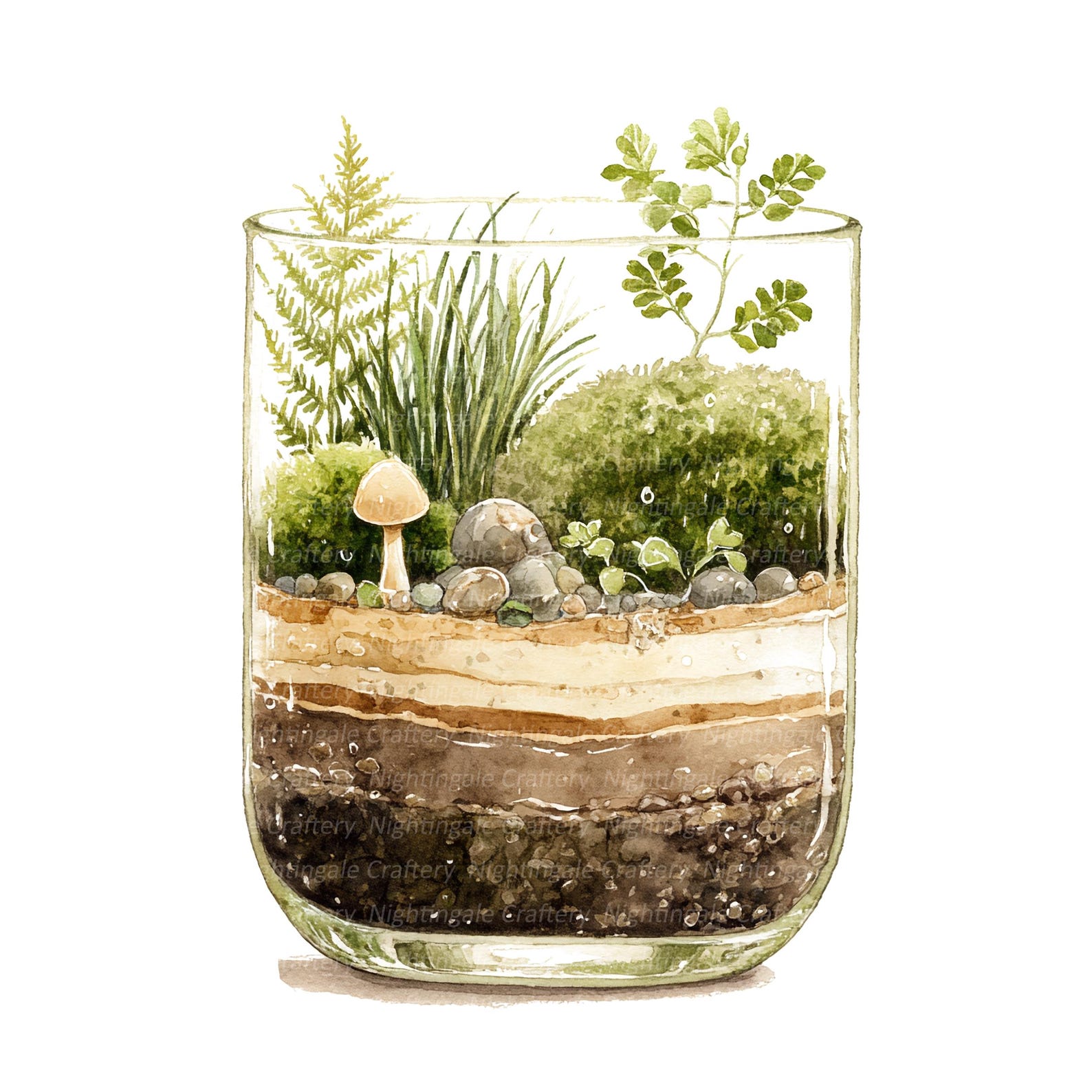 12 Glass Terrarium Jar Clipart, Botanical Terrarium, Printable ...