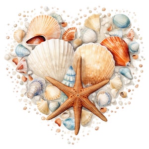 14 Sea Shells Heart Clipart, Seashell Clipart, Printable Watercolor ...
