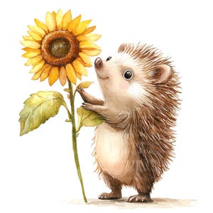12 Hedgehog Sunflower Clipart, Cartoon Hedgehog, Printable Watercolor ...