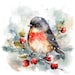 12 Special Christmas Robin Clipart, Printable Watercolor Clipart, High ...