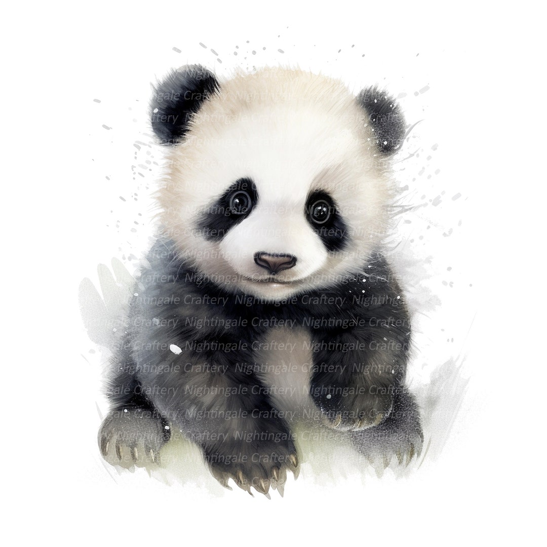 12 Panda Baby Clipart, Printable Watercolor Clipart, High Quality Jpgs ...