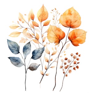 14 Autumn Leaves Boho Style Clipart, Boho Fall Printable Watercolor ...