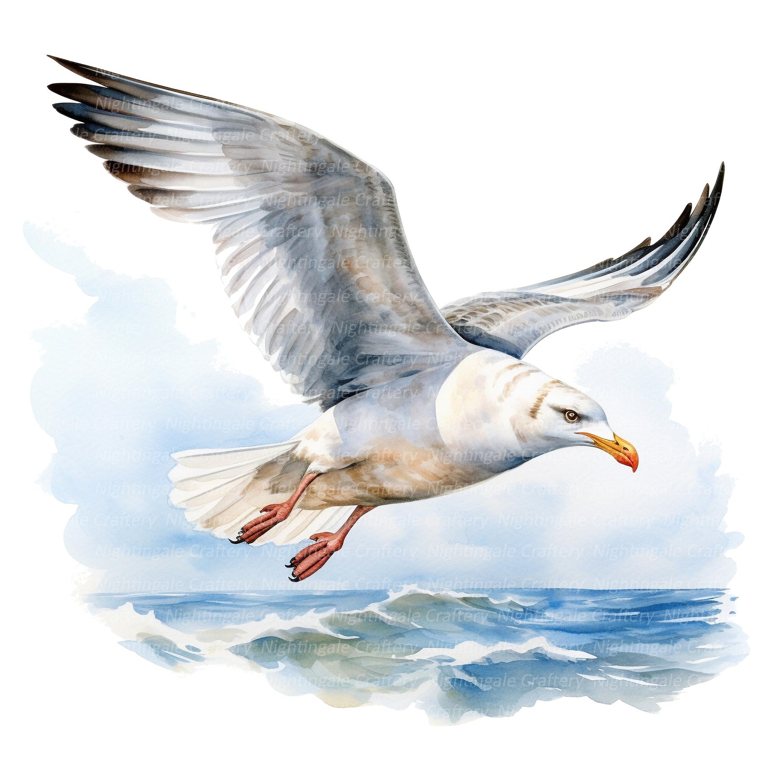 10 Seagull Clipart, Gull Clipart, Printable Watercolor Clipart, High ...