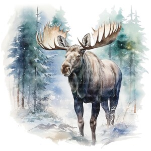 10 Moose in Winter Clipart, Printable Watercolor Clipart, High Quality ...
