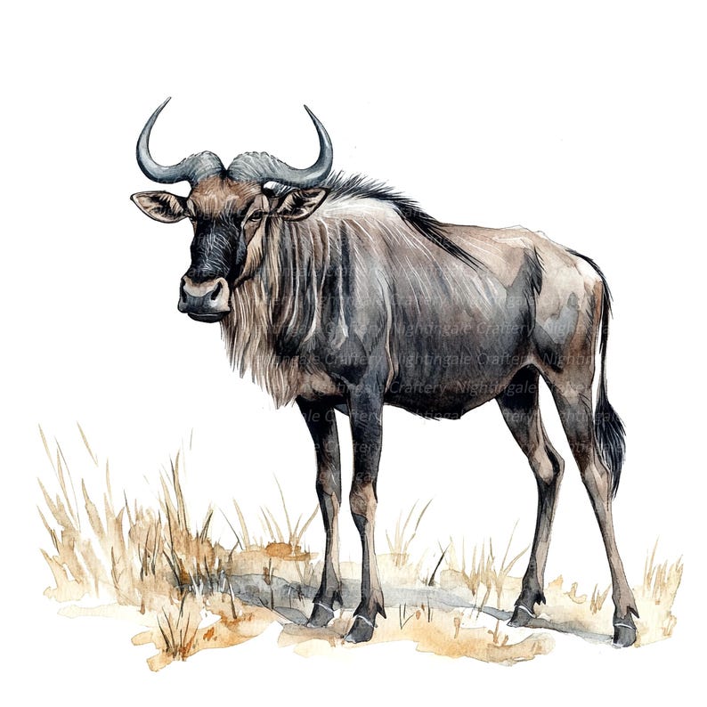 10 Black Wildebeest Clipart, Antelope Gnu, Printable Watercolor Clipart ...