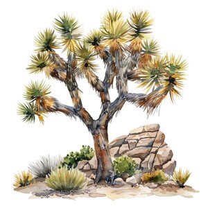 9 Joshua Tree Clipart, Joshua Tree Print, Printable Watercolor Clipart ...