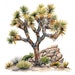 9 Joshua Tree Clipart, Joshua Tree Print, Printable Watercolor Clipart ...