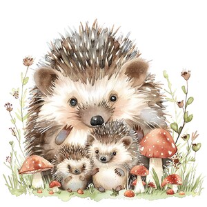 12 Hedgehog Family Clipart, Hedgehog Clipart, Printable Watercolor ...