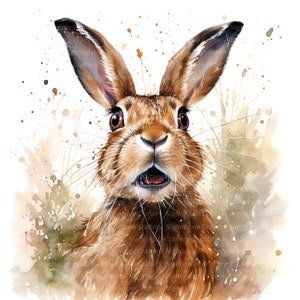 10 Surprised Hare Clipart, Amazed Rabbit, Printable Watercolor Clipart ...