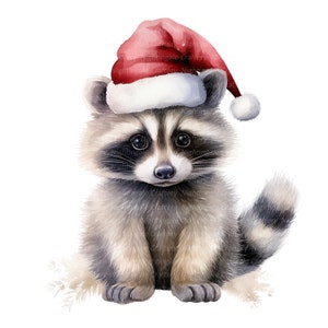 10 Raccoon in Santa Hat Clipart, Racoon, Printable Watercolor Clipart ...