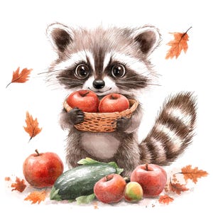12 Harvest Raccoon Clipart, Thanksgiving Clipart, Printable Watercolor ...