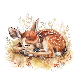 8 Baby Fawn Sleeping Clipart, Fawn Clipart, Printable Watercolor ...
