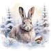 12 Hare in Winter Clipart, Printable Watercolor Clipart, High Quality ...