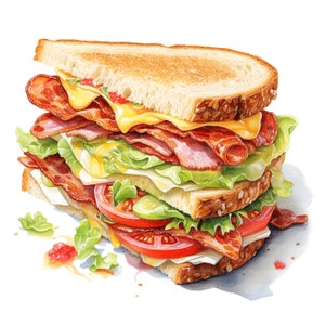 8 Tasty Sandwich Clipart, Fast Food Clipart, Printable Watercolor ...