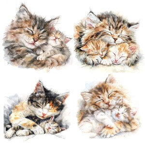 16 Sleeping Cat Clipart, Lovely Kittens Clipart, Printable Watercolor ...