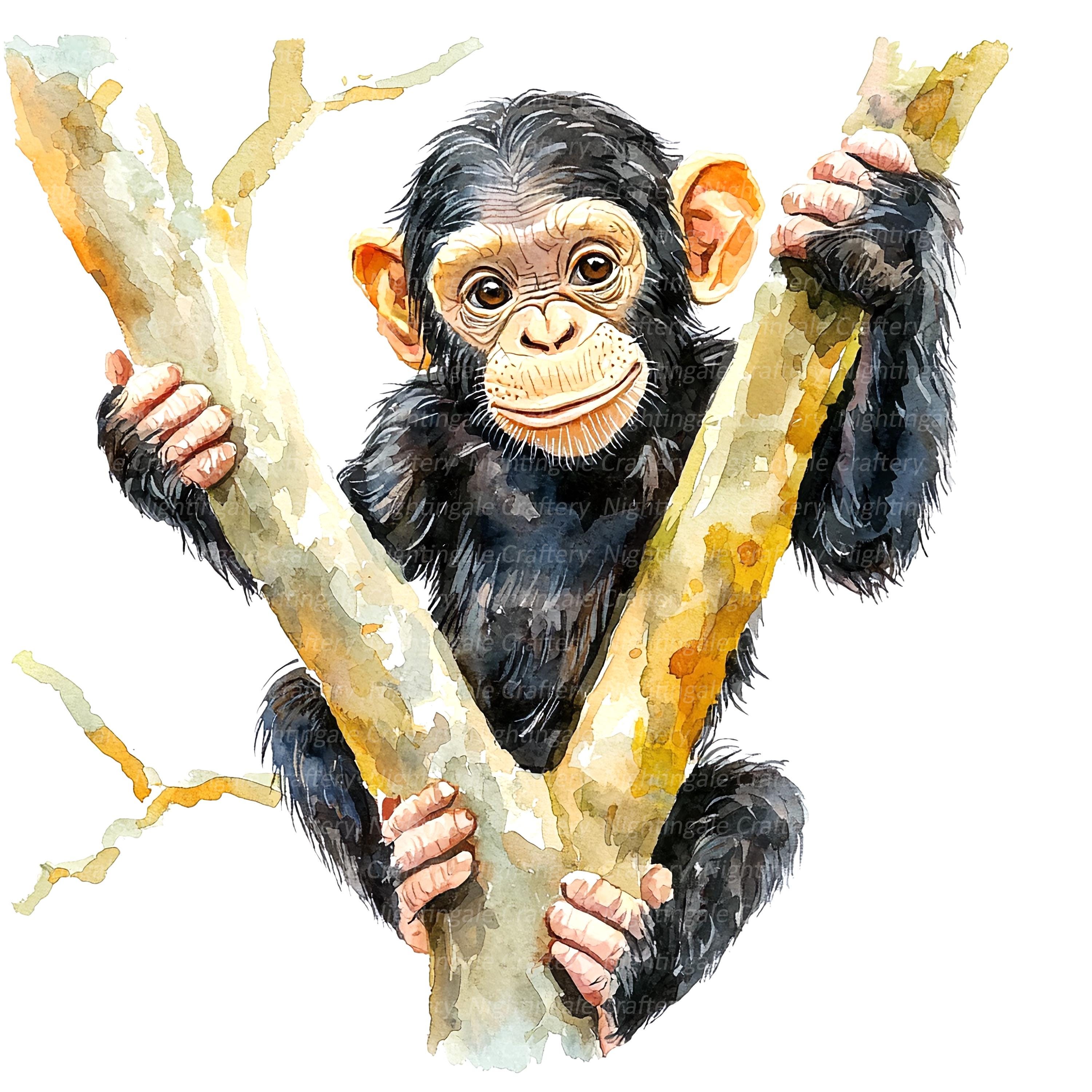Cute Chimpanzee Drawing